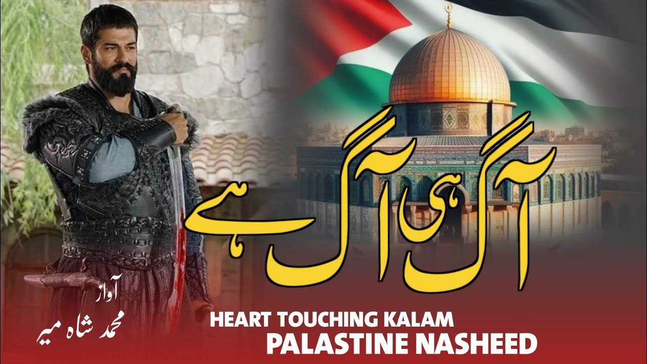New Palestine Nasheed 2025|Muhammad shahmeer official|naathub ...