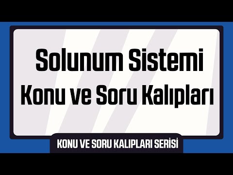 37 Dakikada Tek Video Tüm Solunum Sistemi