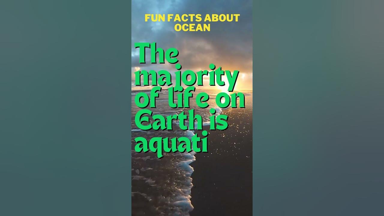 Fun Facts About Sea YouTube fun-facts-about-sea-youtube