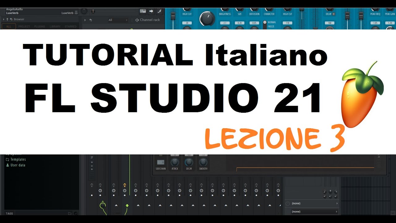 VIDEO CORSO FL STUDIO 21 | LEZIONE 3: Il Browser ed Hint Panel ...