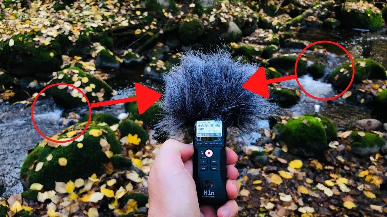 Stereo sound of Forest Stream recorded on Zoom H1n Relaxing River ...