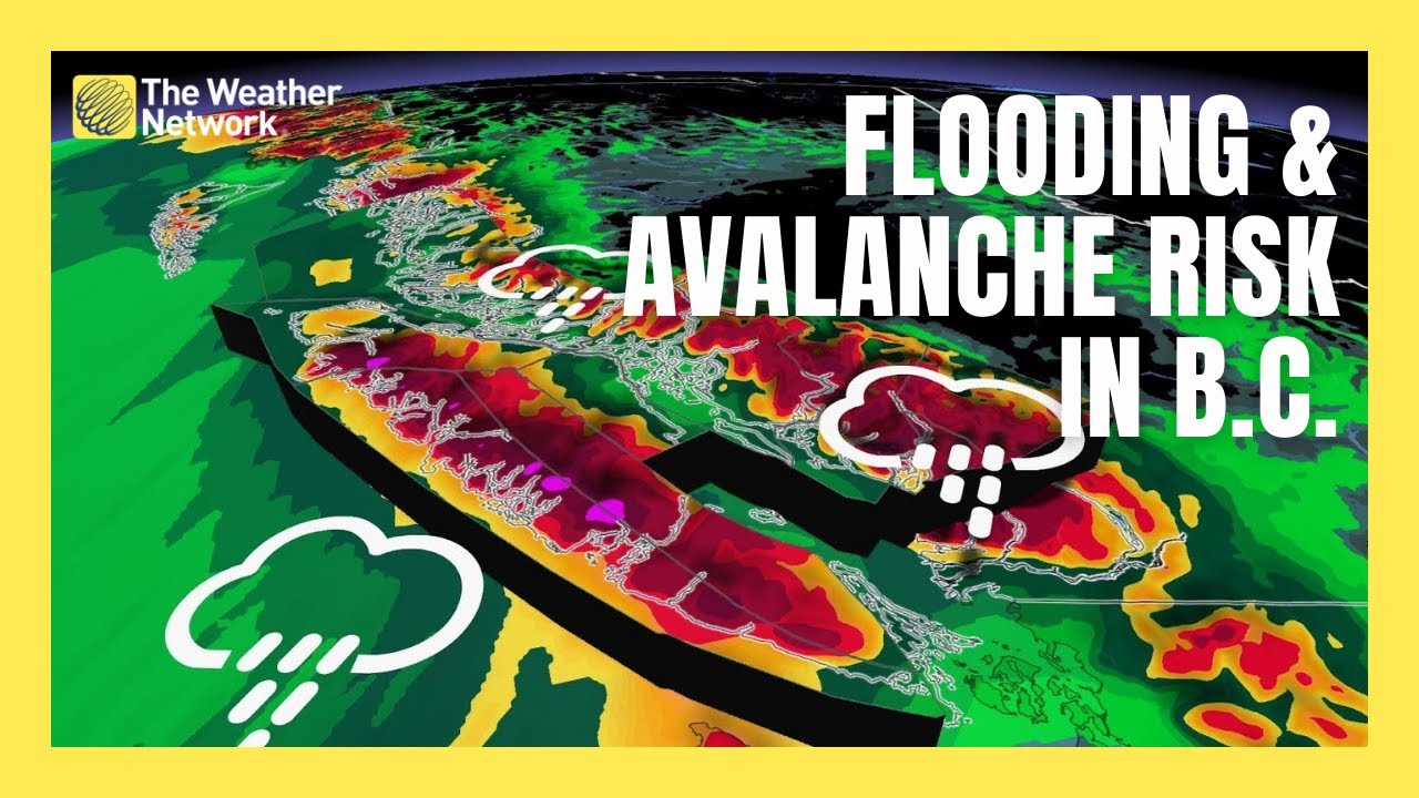 Avalanche, Flood Risk Grows in B.C. Amid Heavy Rains - YouTube