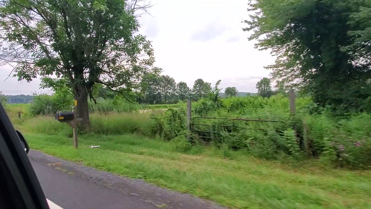 Giant field of weed in NYS! Yes Marijuana! - YouTube