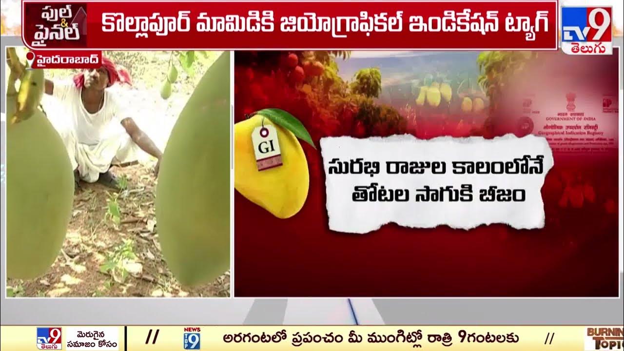 GI Tag for Kollapur Mangoes - TV9 - YouTube