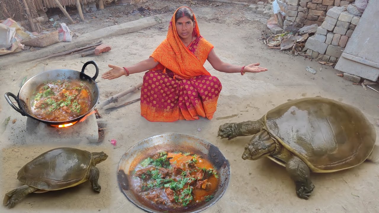 5 Kg Tortoise cooking and eating in village| kachhua kaise banaya jata ...