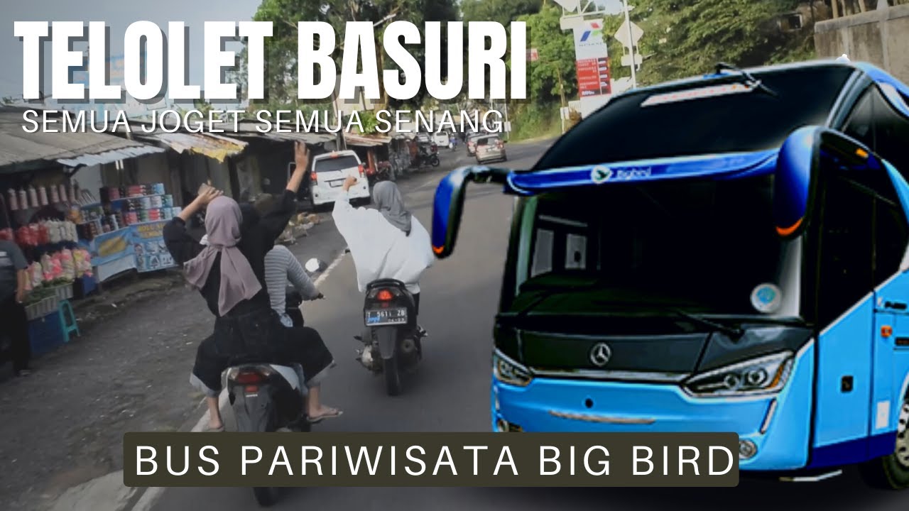 TELOLET BASURI !! TELOLET BUS PARIWISATA BIG BIRD TRIP TO CIATER - YouTube