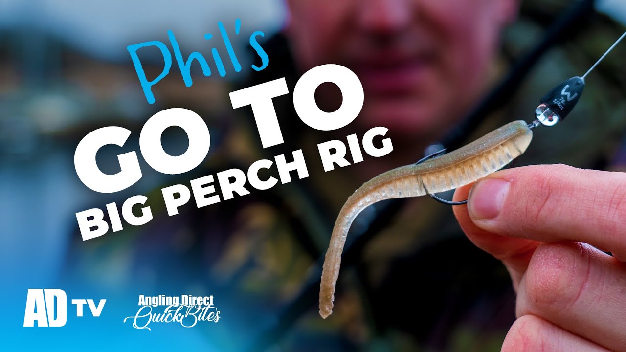 Target BIG PERCH - The Texas Rig In Detail - Predator Fishing Quickbite ...