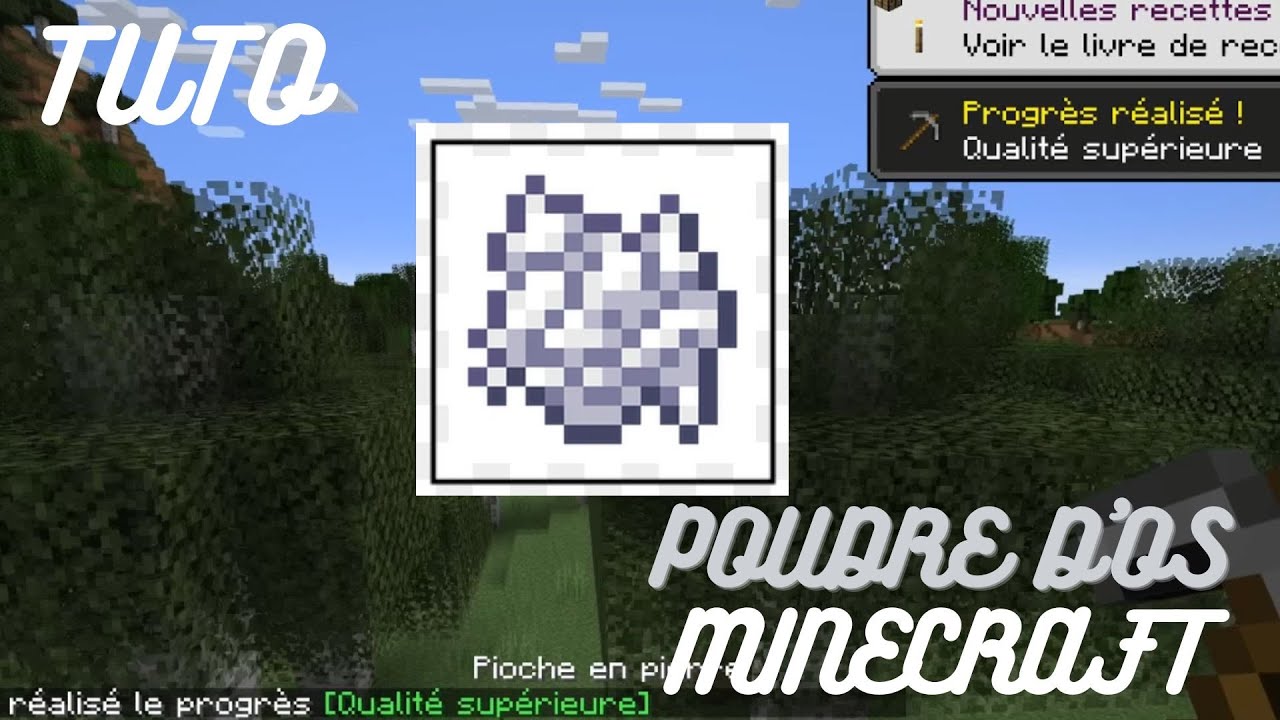 TUTO COMMENT FAIRE DE LA POUDRE D'OS SUR MINECRAFT FACILEMENT TUTO DEBUTANT - YouTube