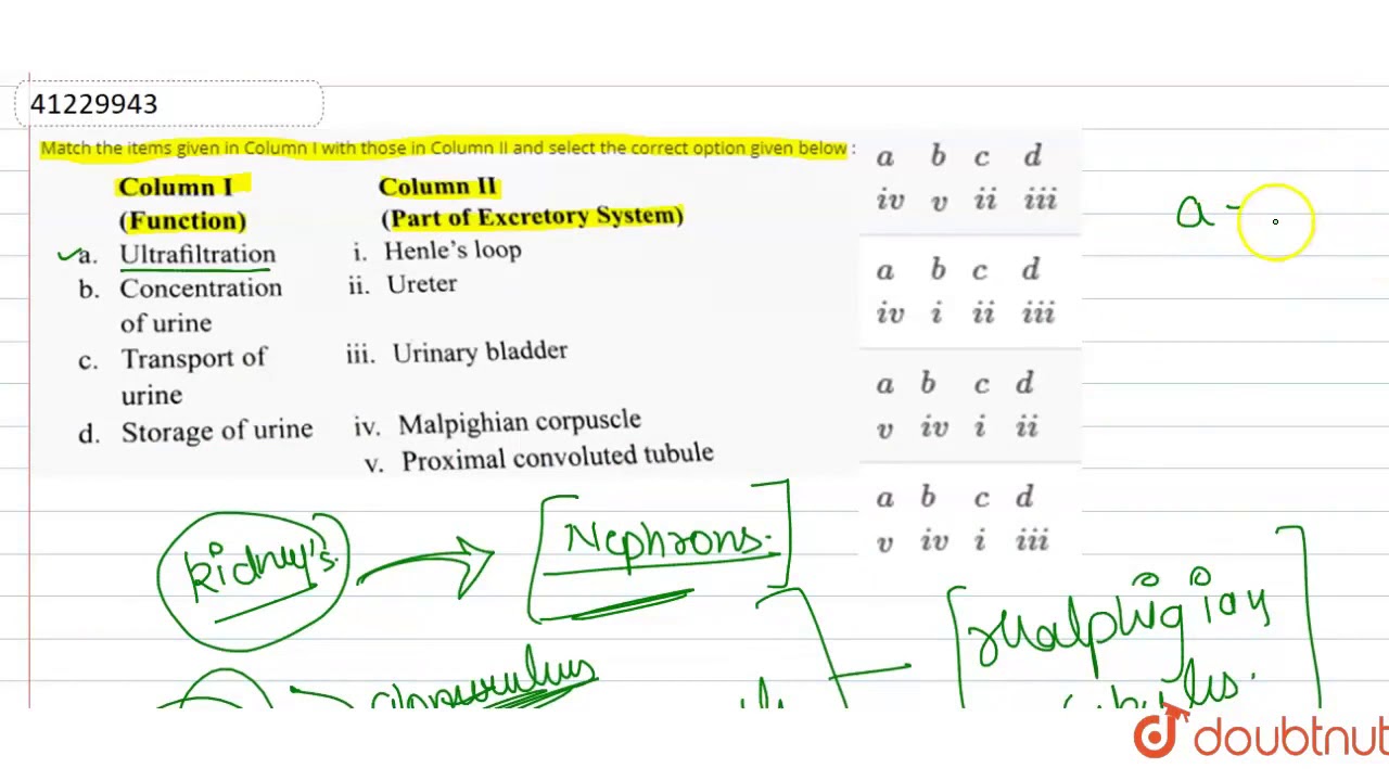 Match The Items Given In Column I With Those In Column II And Select Match The Items Given In Column I With Those In Column II And Select