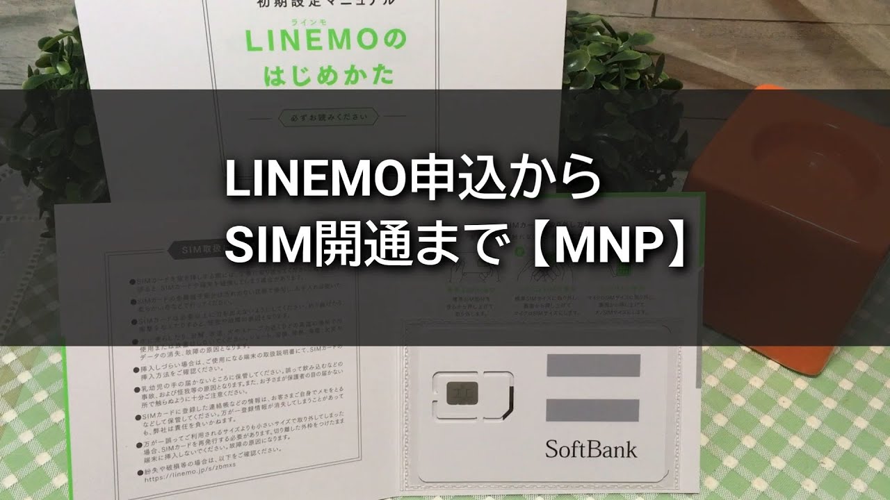 LINEMO申込からSIM開通まで【MNP】 - YouTube