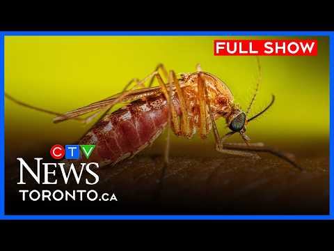 First human case of West Nile Virus in GTA | CTV News Toronto Noon for July 30, 2026