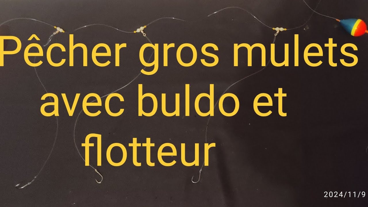 comment pêcher les mulets avec buldo et flotteur - YouTube