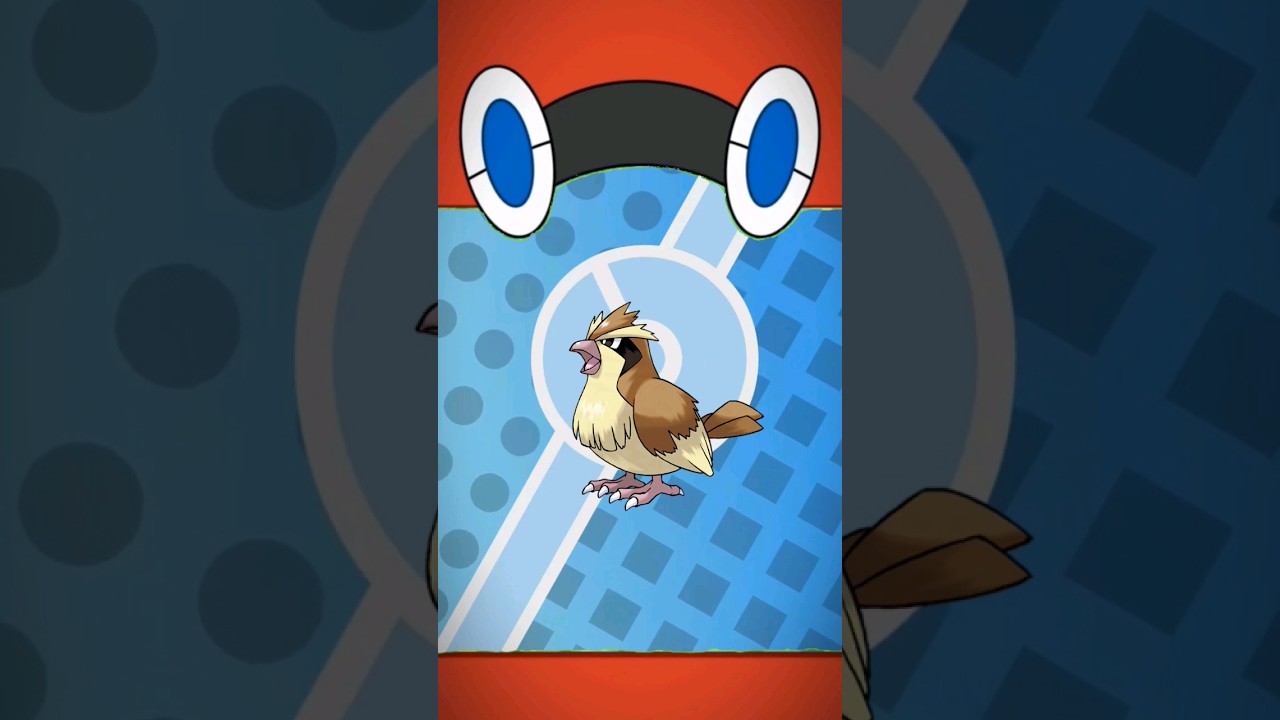 CONHEÇA PIDGEY O POKÉMON PÁSSARO MINÚSCULO POKEDEX 016 - YouTube