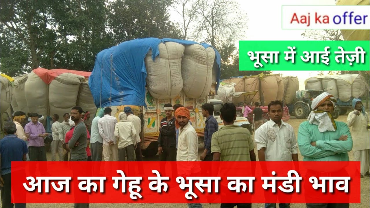 आज का गेहू के भूसा का मंडी भाव फर्रूखाबाद/aaj ka bhosa ka bhao - YouTube