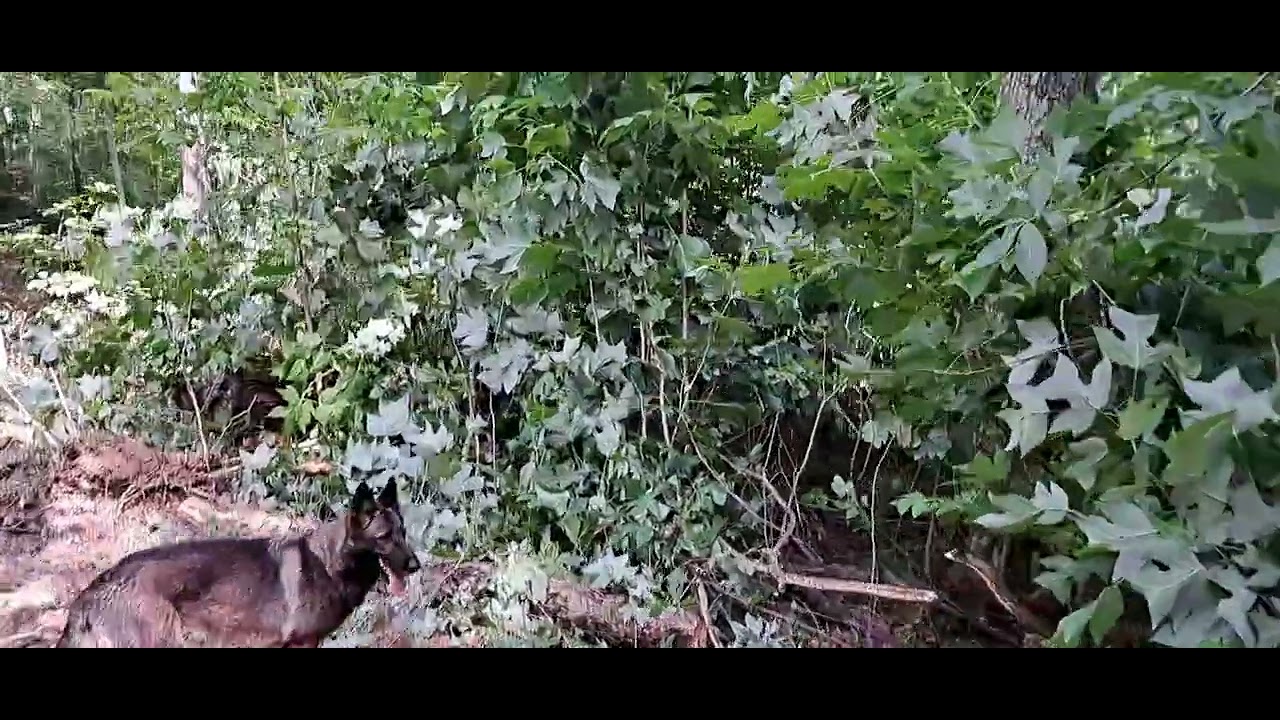 New weave, loud noise and chatter - YouTube