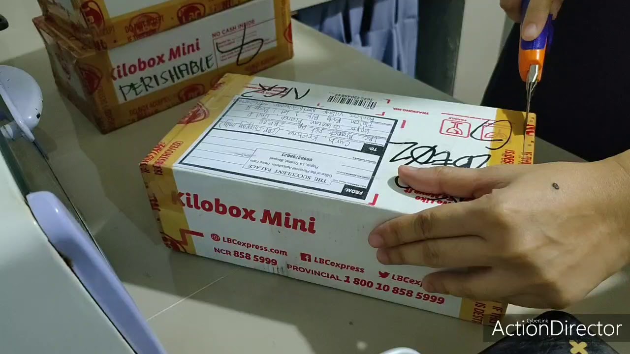 Unboxing Succulents from Benguet. - YouTube