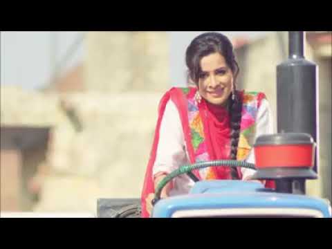 Gila tera krye
