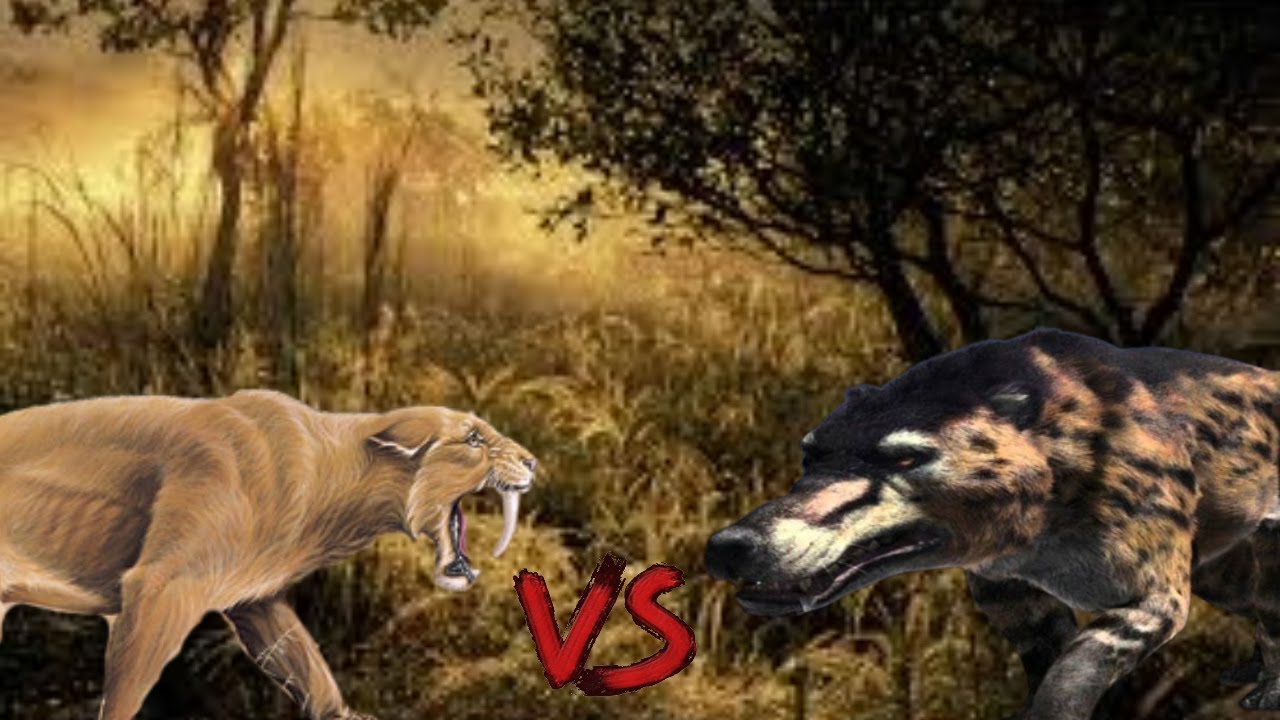 Smilodon vs Andrewsarchus I Prehistoric beast deathmatch battles S-1 ...