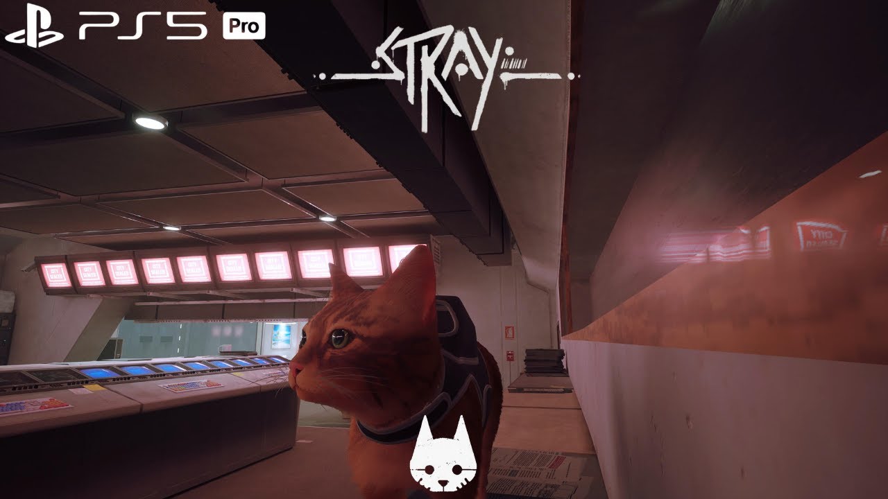 STRAY - MEoW CaT is Meowing 4 Minutes For no Reason - YouTube