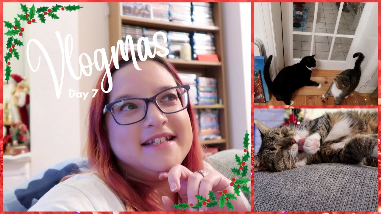 Vlogmas 2022 | Day 7 | Christmas Kitties | Life With Stefy - YouTube