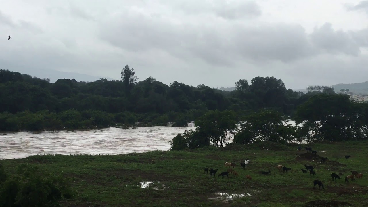 Water in the river of Pune. No one can control nature. Listen to the ...