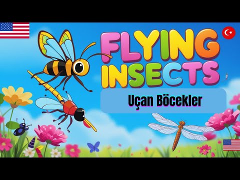 Çocuklar İçin Uçan Böcek İsimleri | Gerçek S Resimleri ve Videoları! Kaç tanesini biliyorsunuz?