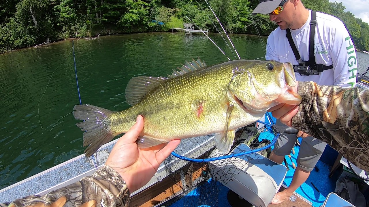 Catching bass ( dandy fish in clear water!) - YouTube