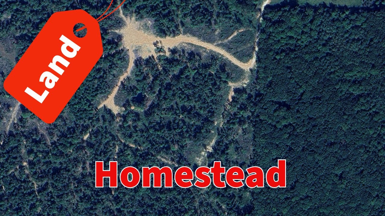 How To Buy Homestead Land - YouTube