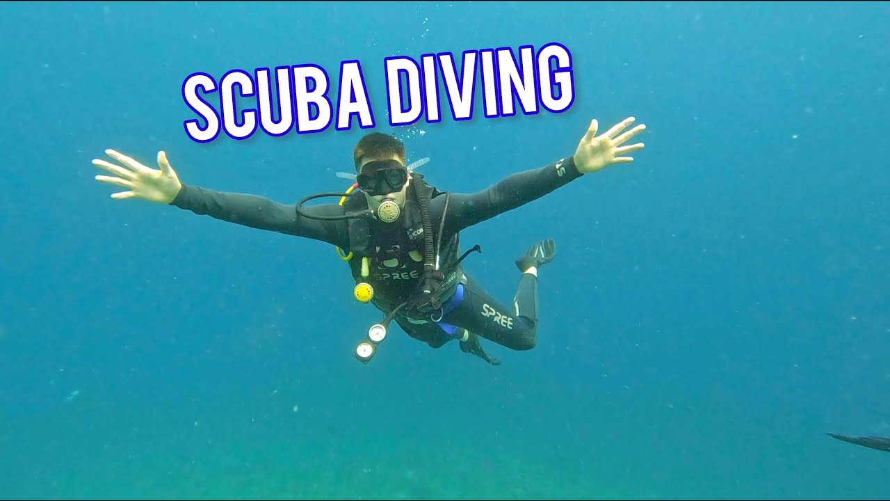 Bali | Scuba Diving in Gilly T - YouTube