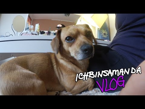 ICH BINS AMANDA | VLOG #14 | Wie es ist