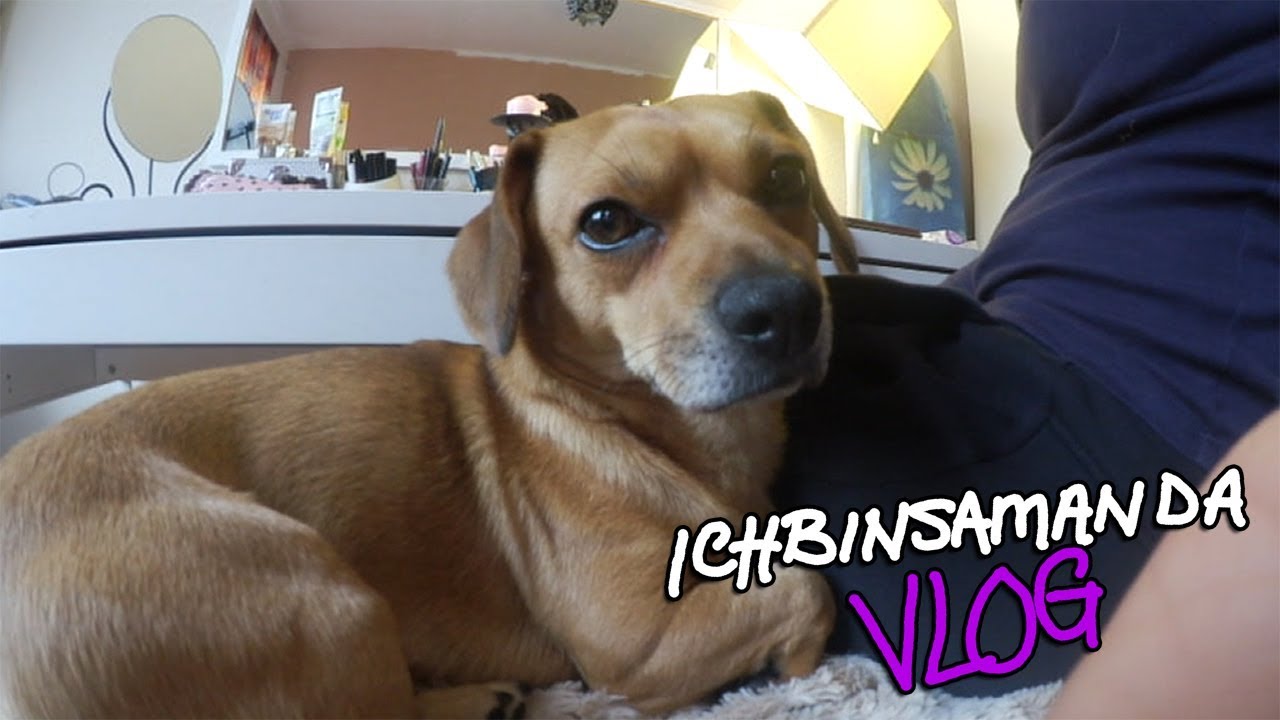 ICH BINS AMANDA | VLOG #14 | Wie es ist - YouTube