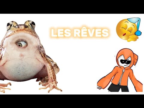 Les rêves sont vraiment bizarres... - YouTube