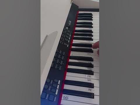 Cucu si Corbu'-tutorial incepatori-cantata cu pian electronic FUNKEY DP II-incepatori. #shorts ...