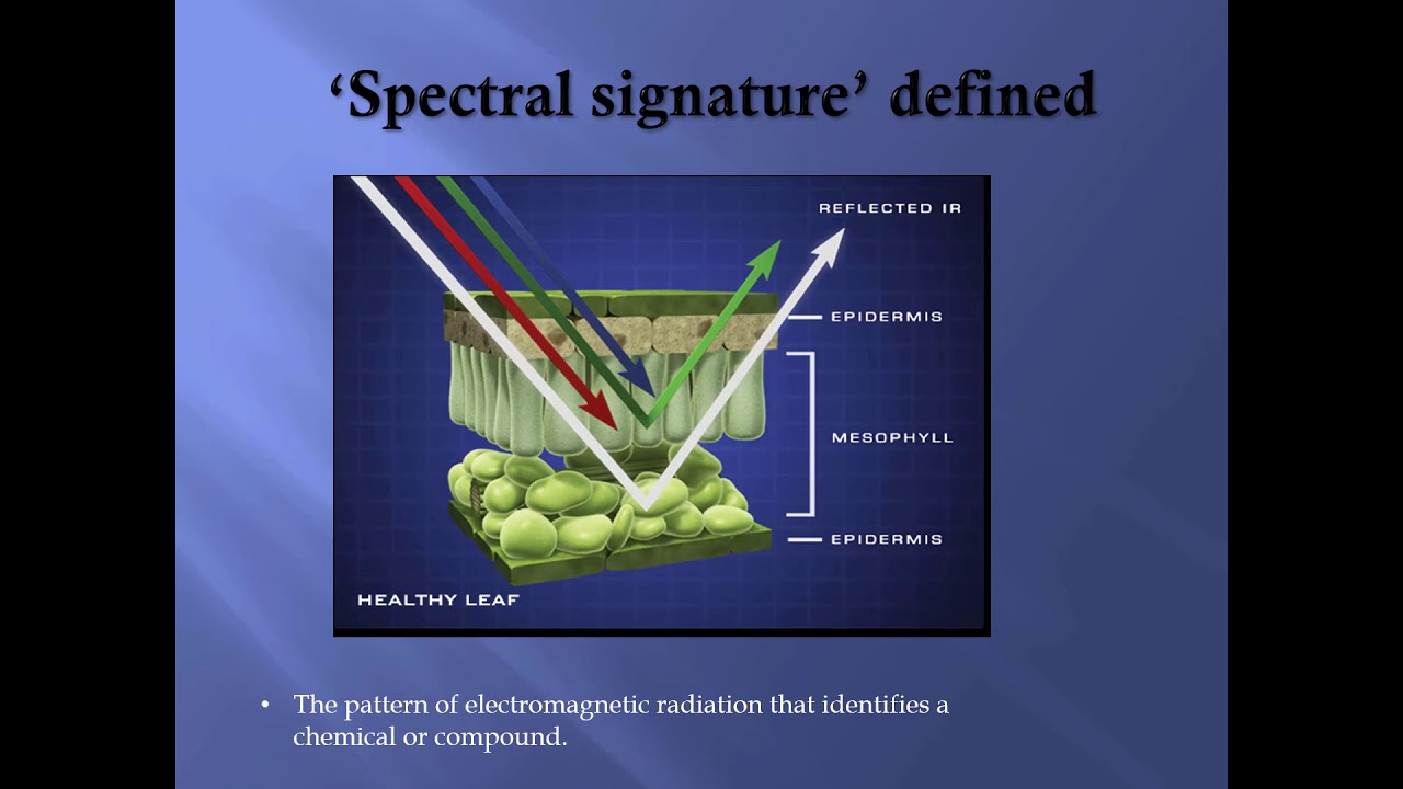 Spectral Signatures - YouTube