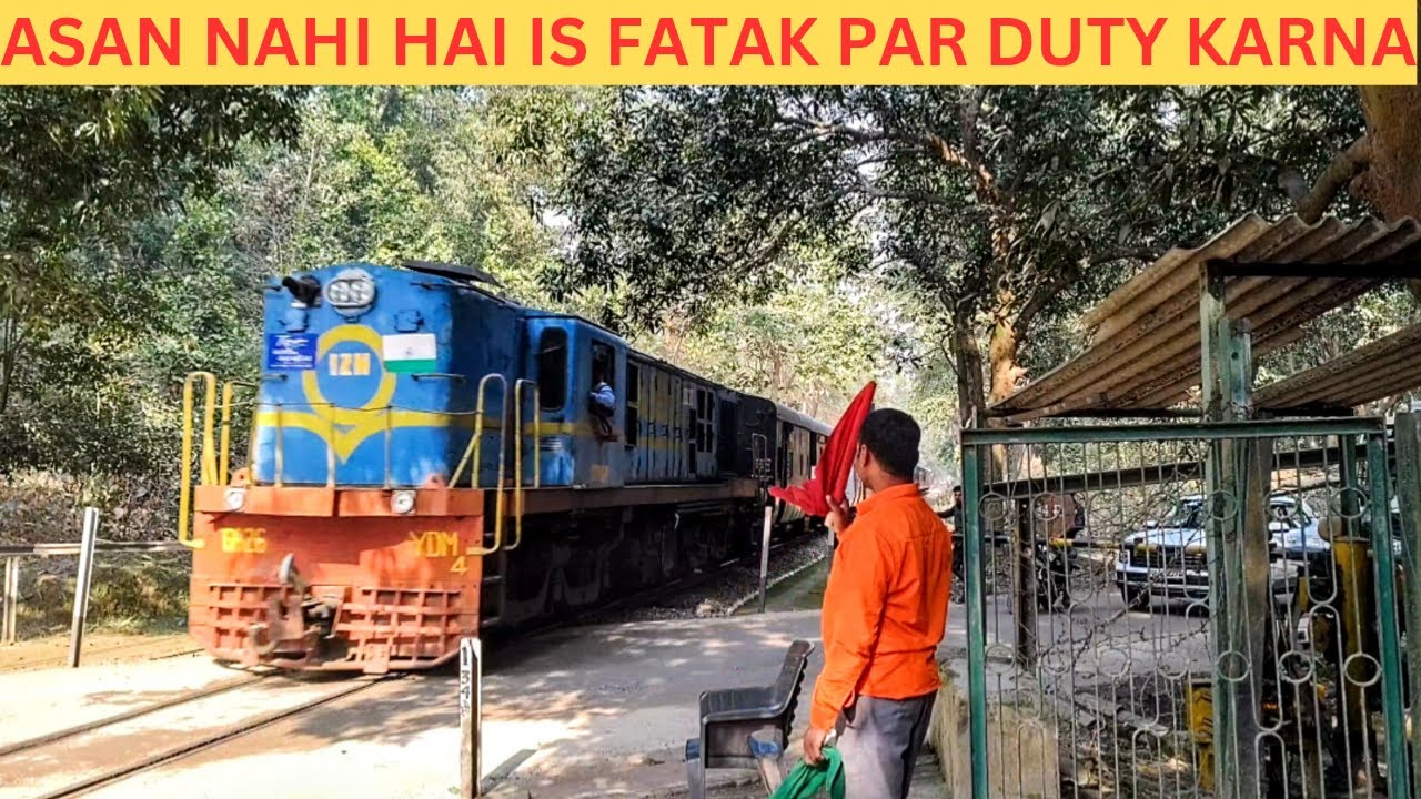Thrilling and spooky TRAIN crossing in FOREST | MAILANI Bichia | Meter ...