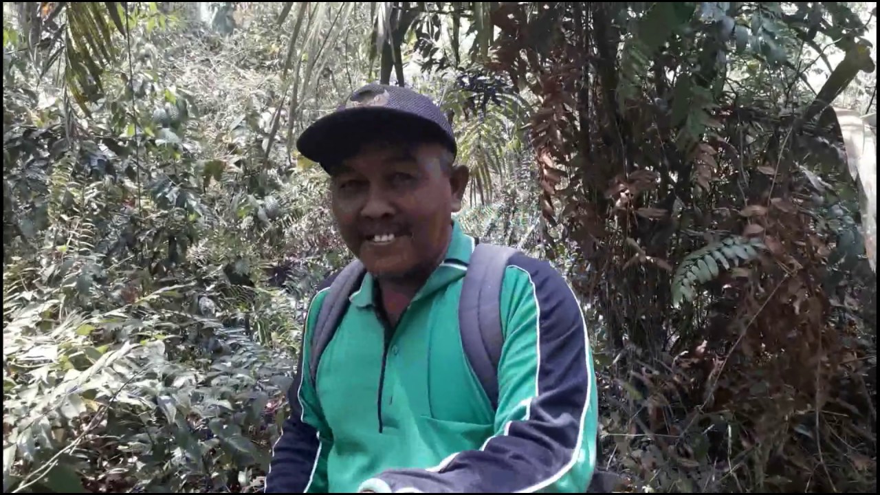 Rotan Semambu - YouTube