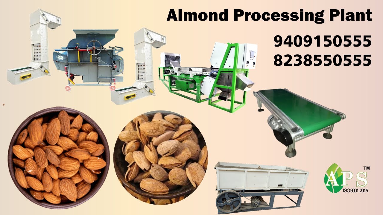 Fully Automatic Almond Processing Plant 7046650555 - YouTube