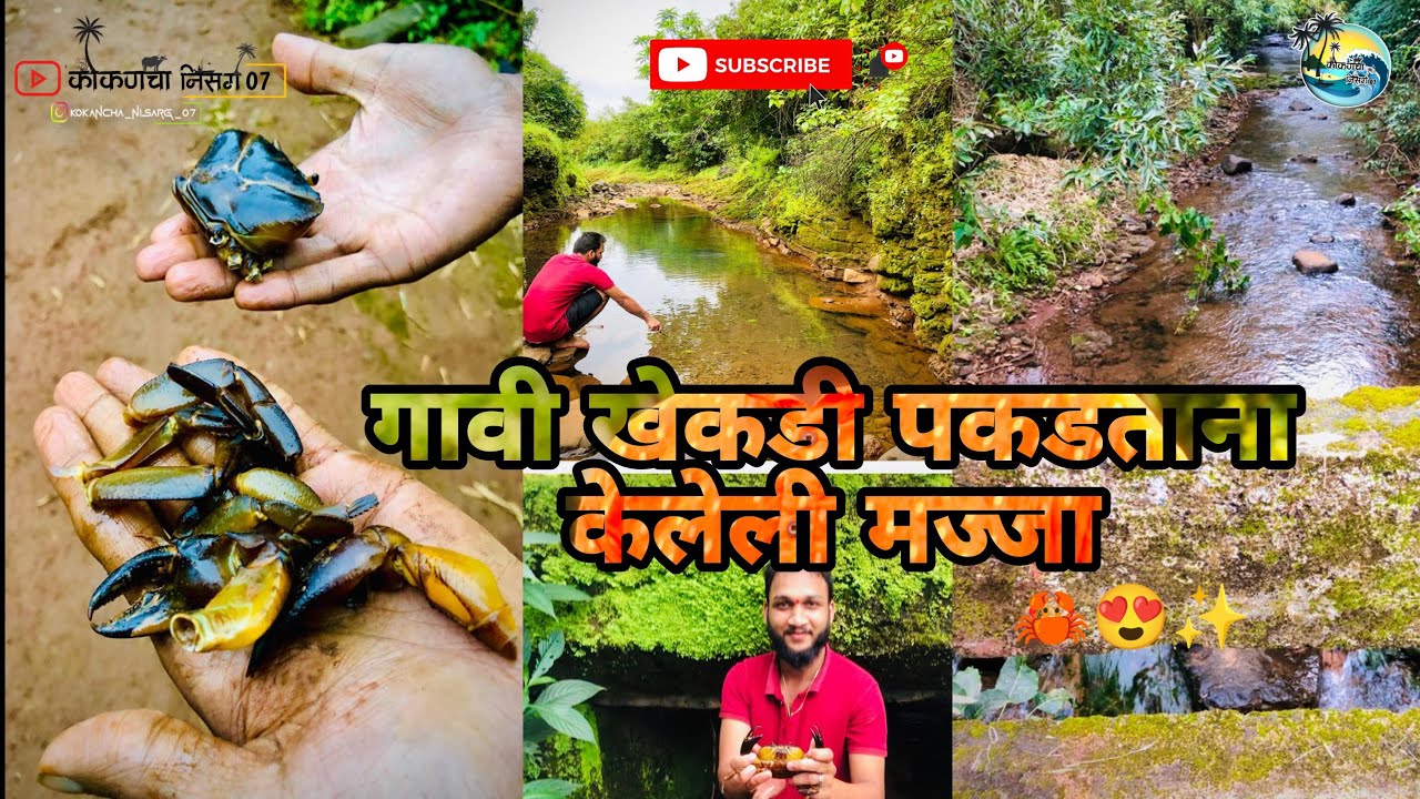 गरीच्या साह्याने खेकडी कशी पकडायची 🦀 || गावी खेकडी पकडताना केलेली मज्जा ...