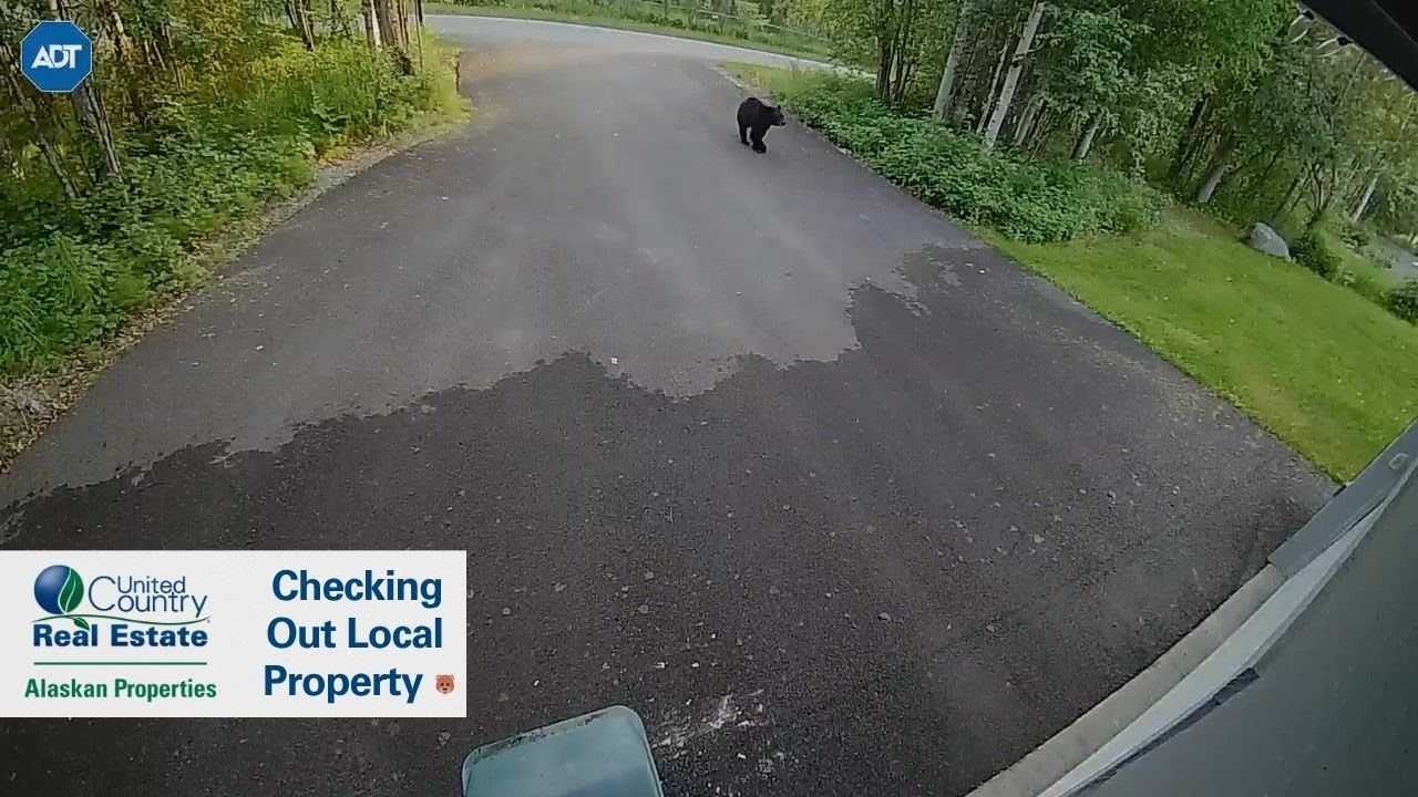 Strolling Through, Checking Out Local Property 🐻 - YouTube