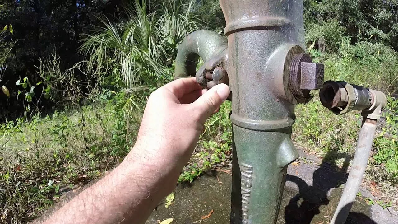 Old Homestead Site in Citrus Wildlife Management Area (Water Pump and ...