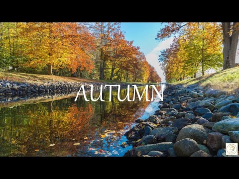#9 | Autumn: beautiful autumn scenery and inspirational music [4K]