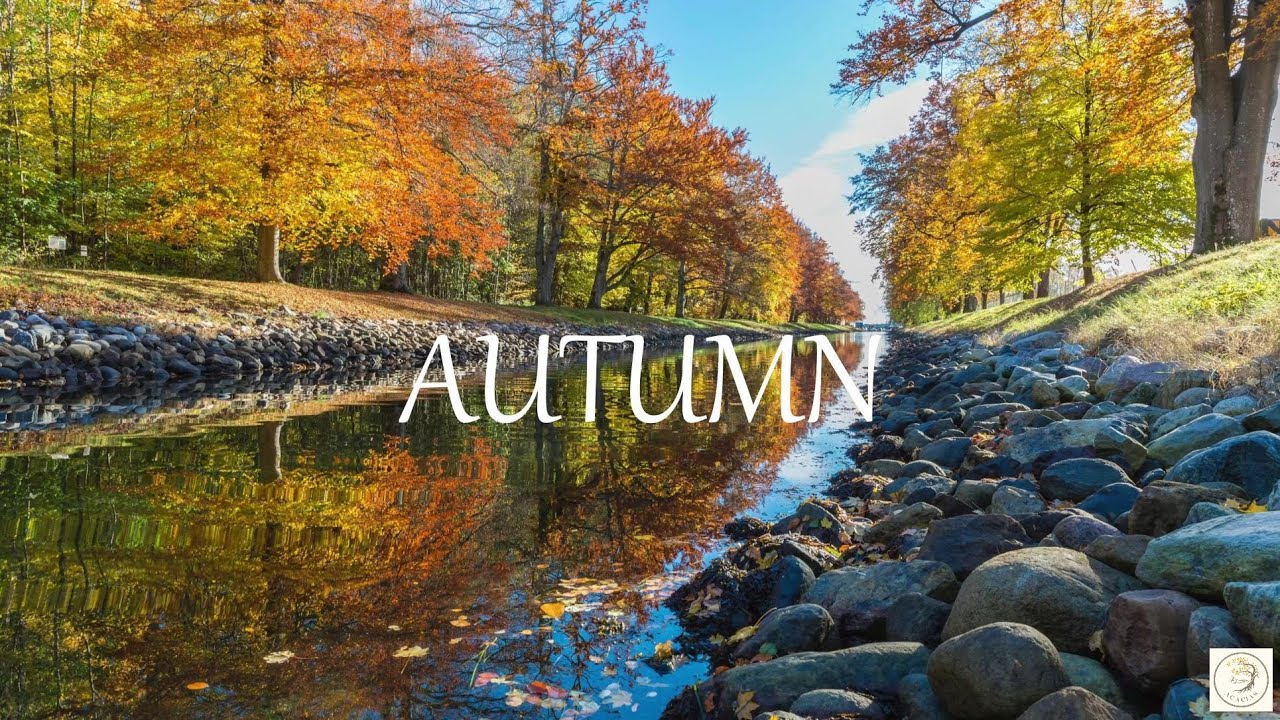 #9 | Autumn: beautiful autumn scenery and inspirational music [4K ...