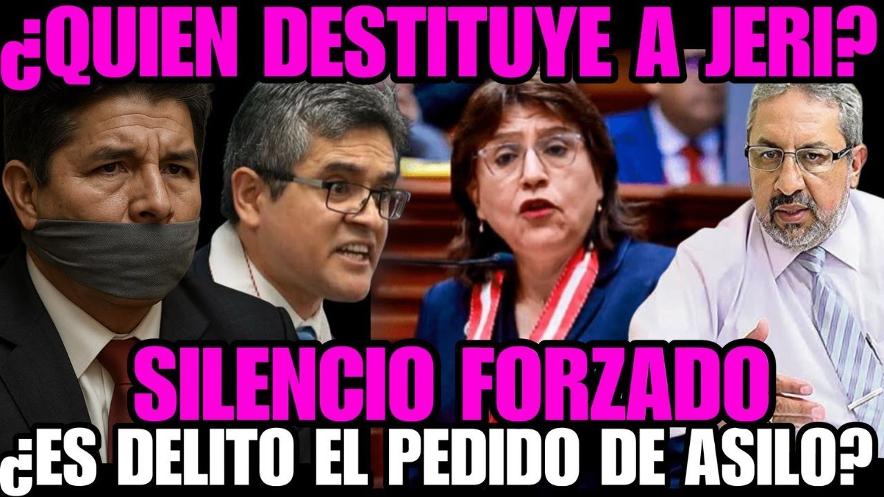 SILENCIO FORZADO A PDTE PEDRO CASTILLO! QUIEN DESTITUYE A FERNANDEZ ...