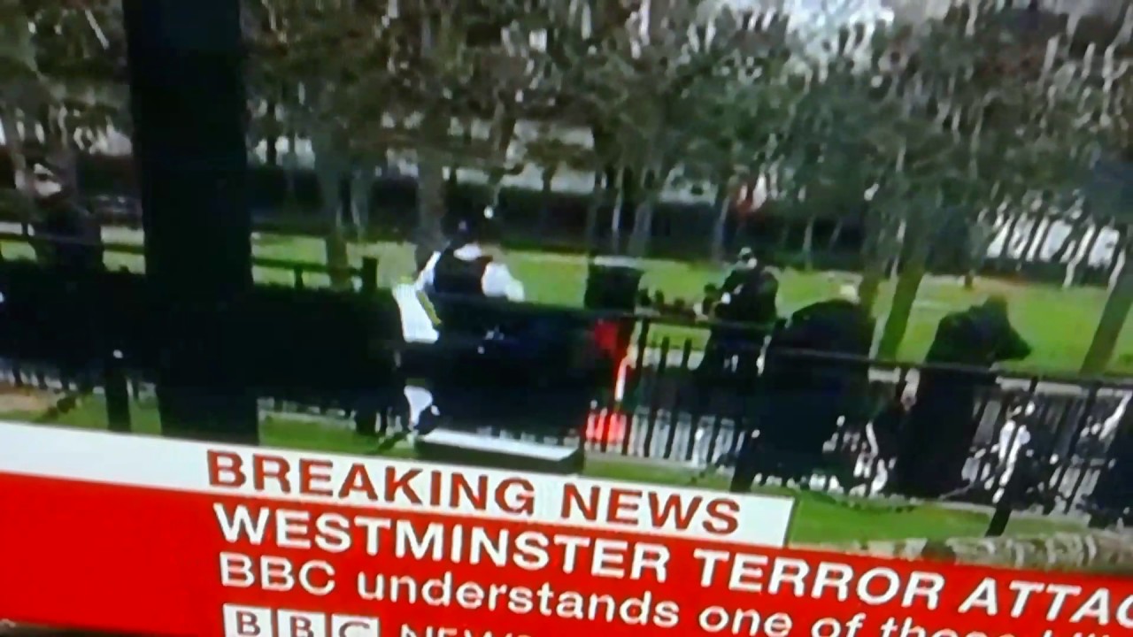 Westminster Police falling over railing - YouTube