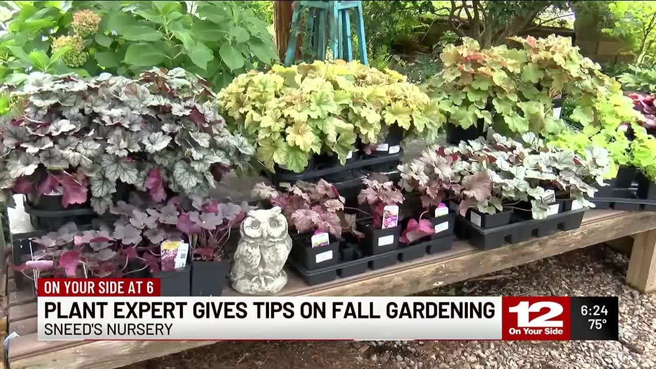 Plant expert gives fall gardening tips - YouTube