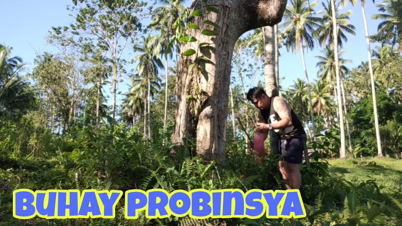buhay driver; balik buhay probinsya dito sa Mindanao - YouTube