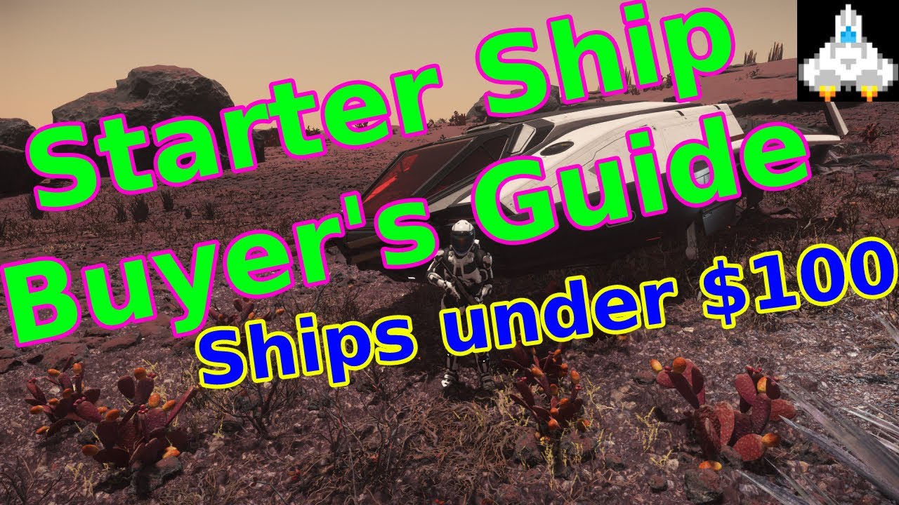 Starter Ship Buyer's Guide and Comparison | Guide | Madrealm Gaming ...