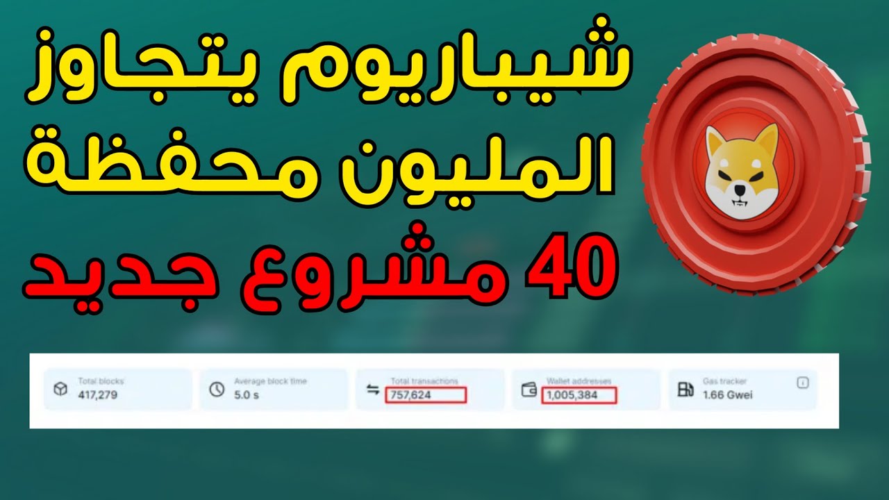 شيباريوم يتعدي المليون محفظة SHIB | 40 مشروع جديد | ارشادات Shibarium - YouTube