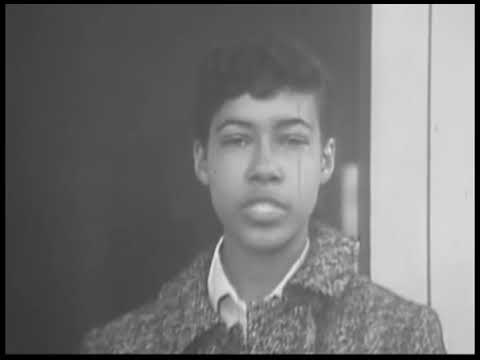 The Clinton 12: The Clinton County Desegregation Crisis (1947-1958 ...