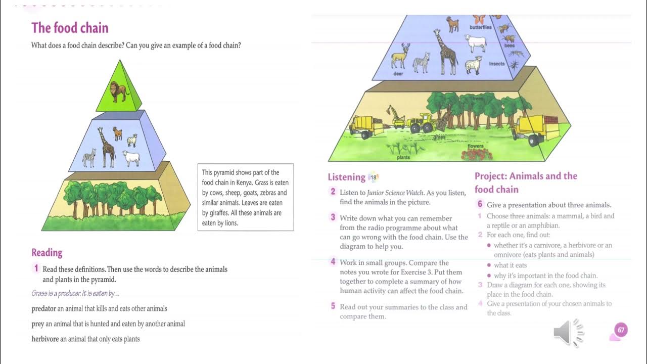 Cambridge Global English ESL Stage 8 Listening (The food chain) - YouTube